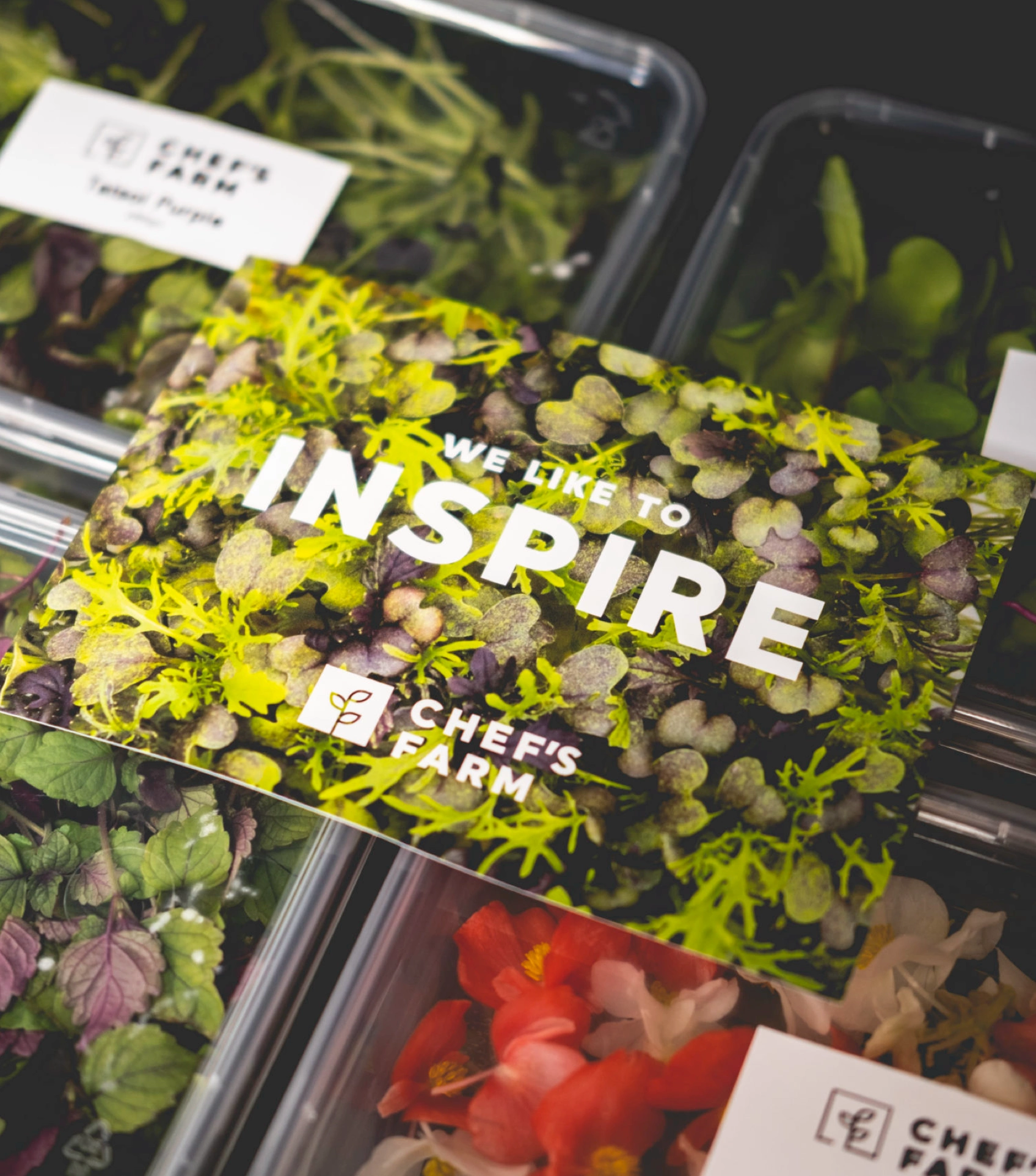 Free Sample Pack | Try Chef's Farm Fresh Products