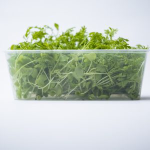 MUSTARD FRILLS GREEN - Chef's Farm